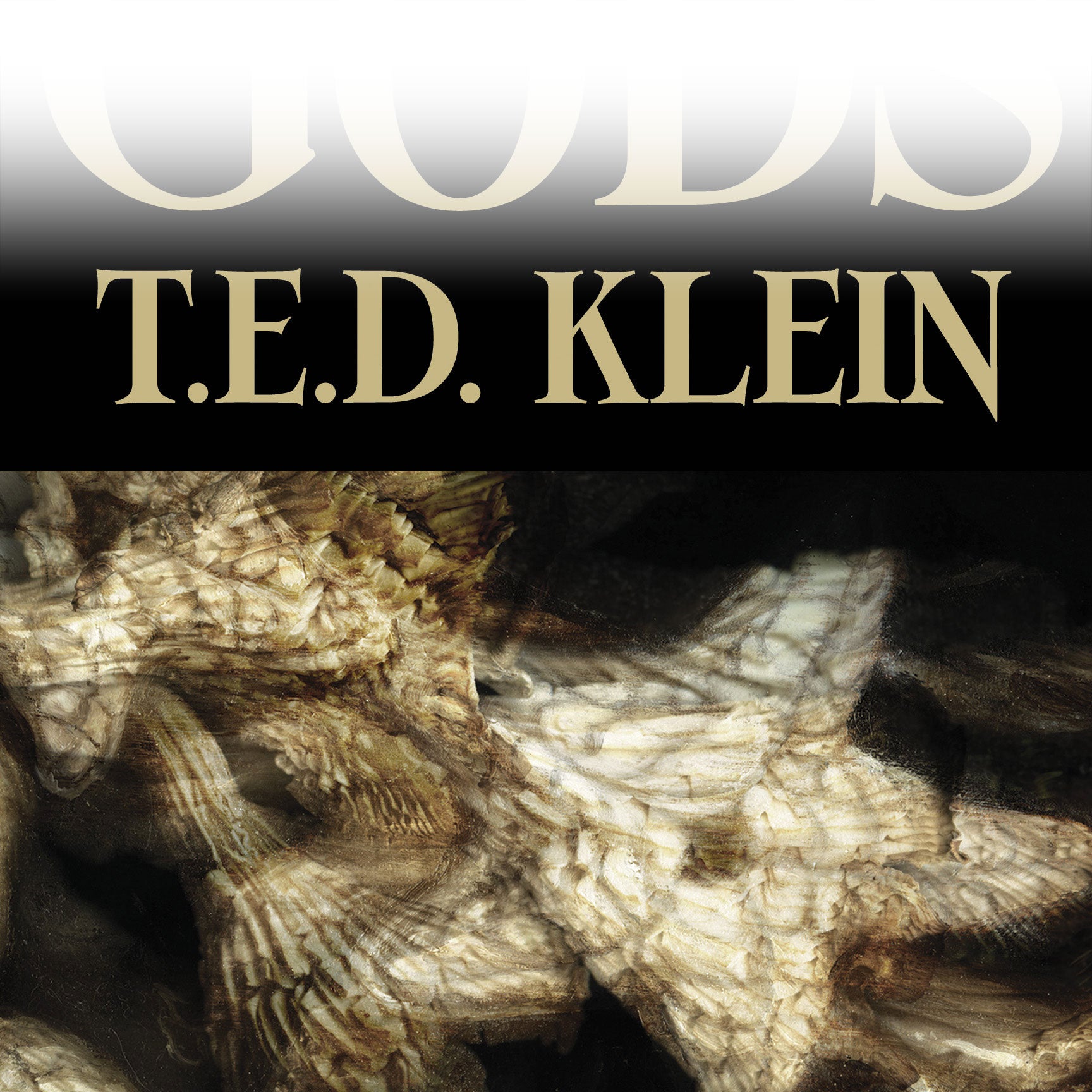 Dark Gods by T.E.D. Klein – Chiroptera Press